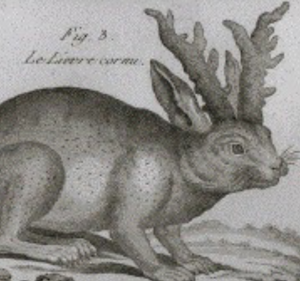 Human Papilloma Virus or HPV, some important facts and info – Medical ...